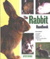 Bunny Rabbit Books, rabbit book, bunny book, rabbit magazine, bunny ...