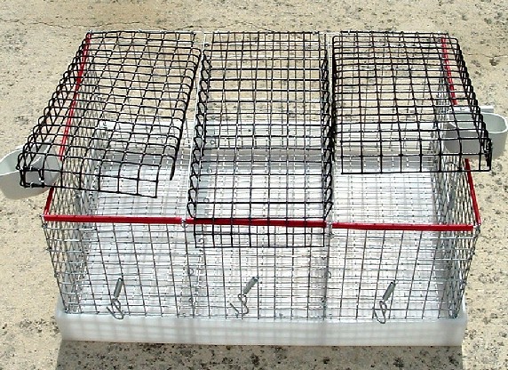 BUNNYRABBIT.com Rabbit Carrier, Bunny Carrier, Rabbit Transport Cage ...
