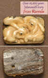 BUNNYRABBIT.com Bunny Rabbit Jewelry Ivory Netsuke, Bunny Ivory Netsuke ...